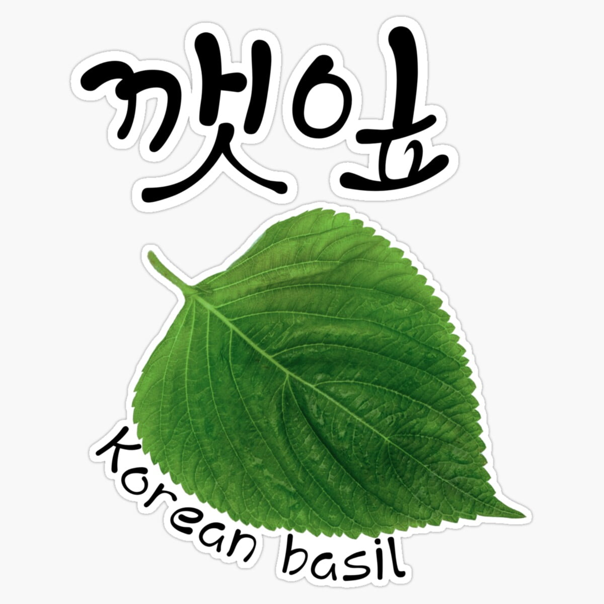 Maneki Perilla Leaf – 깻잎 (Korean Basil) Er, Phone Decal Water Bottle ...