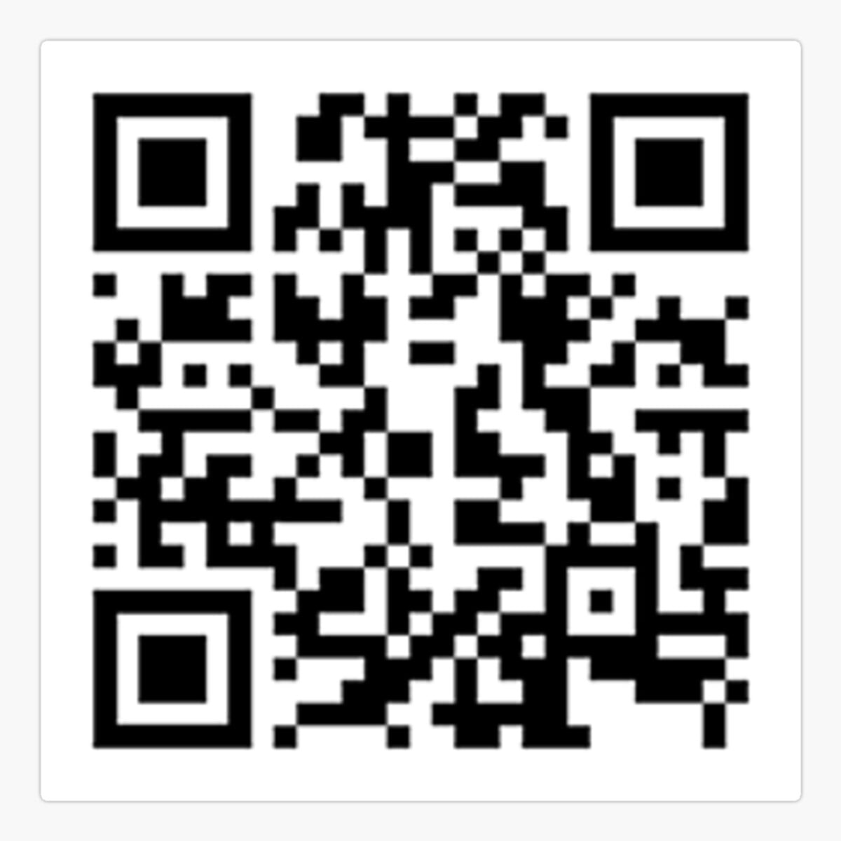 Maneki Pete Davidson & Timothée Chalamet Yeet Skrt Snl Qr Code Er ...