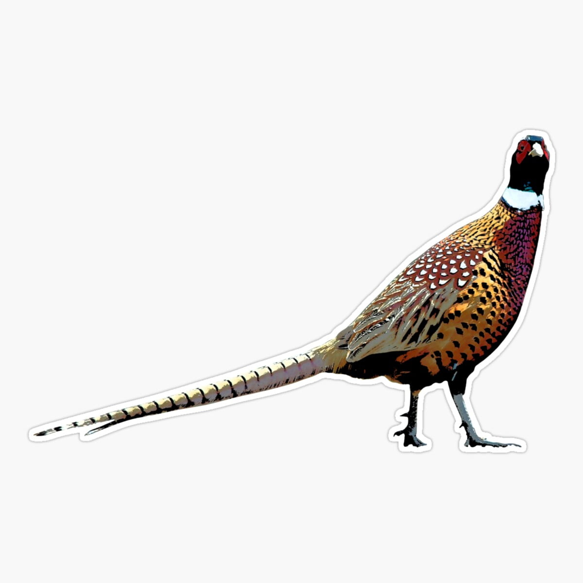 Maneki Pheasant Color Print Er, Phone Decal Water Bottle Stickers Car ...