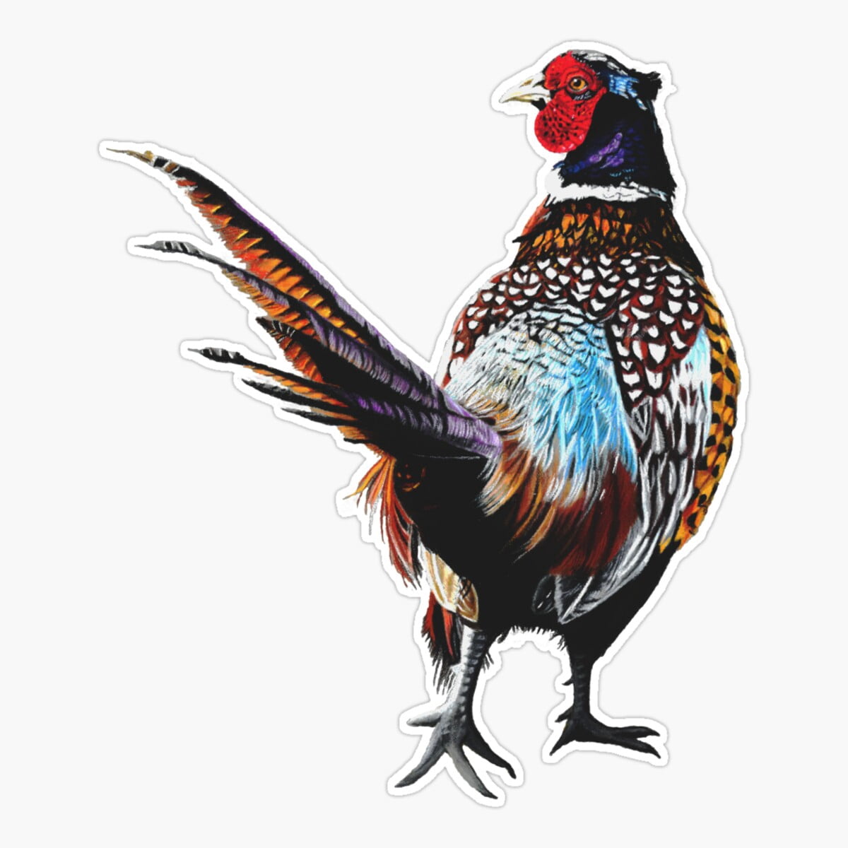 Maneki Pheasant - Pheasant Art - Pheasant Git Range Er, Phone Decal ...