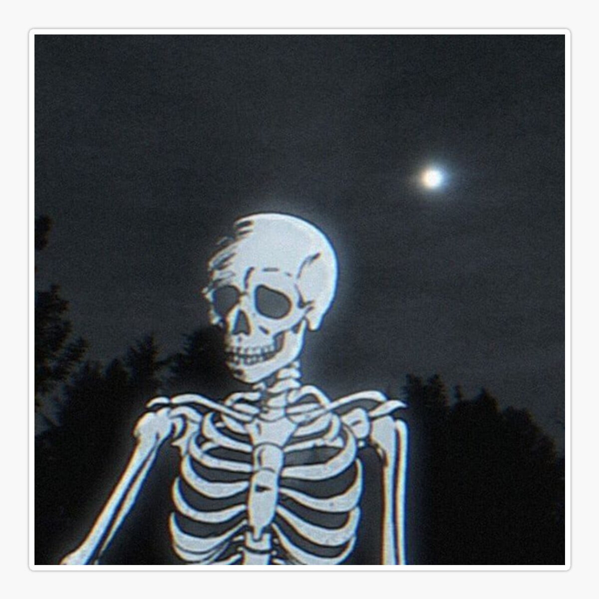 Maneki Phonk Skeleton Er, Phone Decal Water Bottle Stickers Car Decals ...