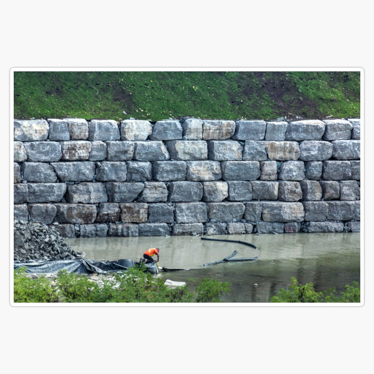 Maneki Pokémon Swim Er, Phone Decal Water Bottle Stickers Car Decals ...