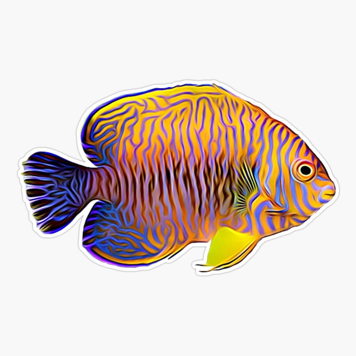Maneki Potters Angelfish Saltwater Reefish Sticker, Phone Decal Water ...