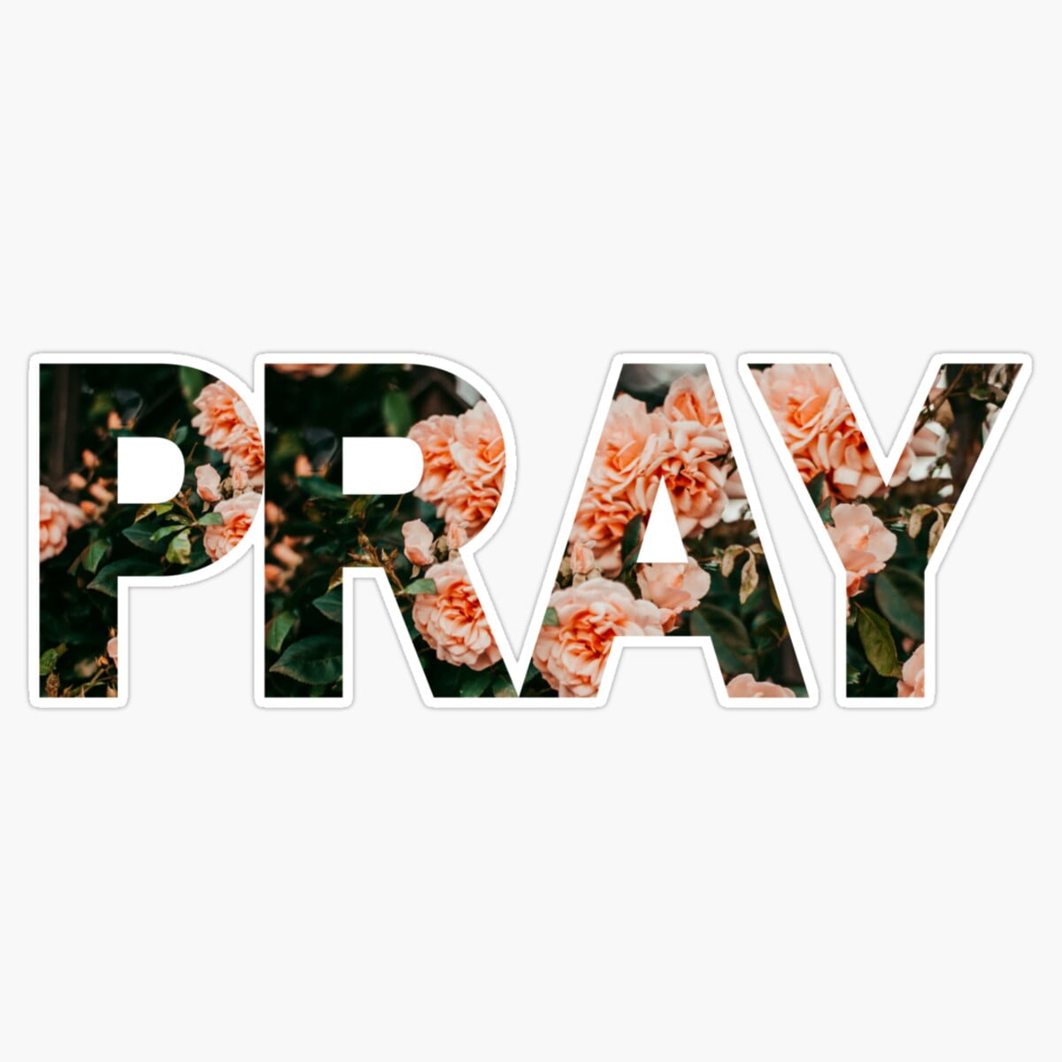 Maneki Pray Er, Phone Decal Water Bottle Stickers Car Decals, Funny ...