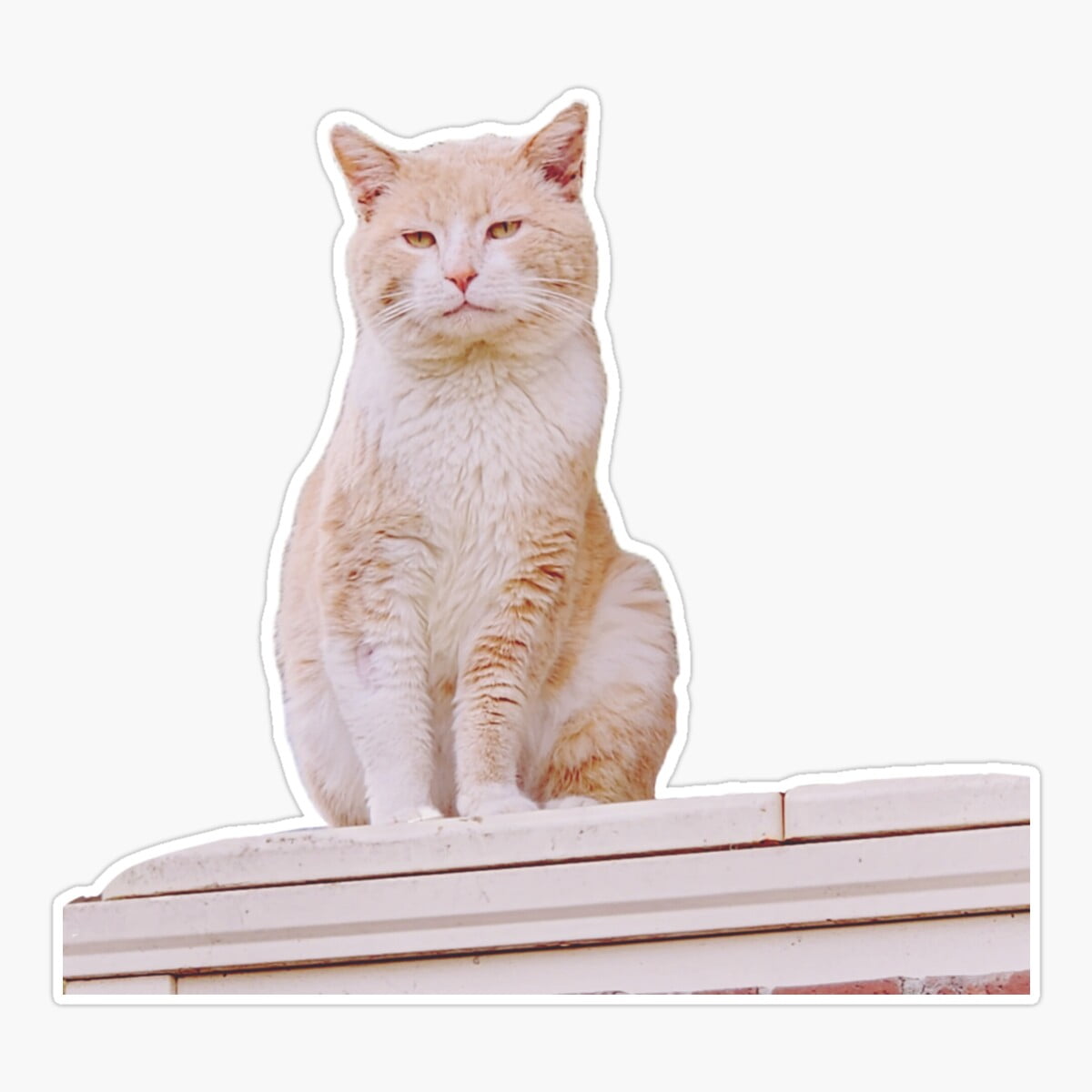 Maneki Pretty Cat On A Ledge Er, Phone Decal Water Bottle Stickers Car ...