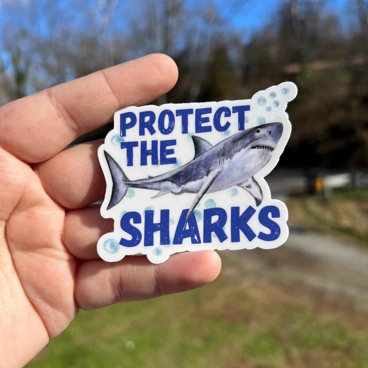 Maneki Protect The Sharks Sticker, Ocean Conservation Sticker, Ocean ...