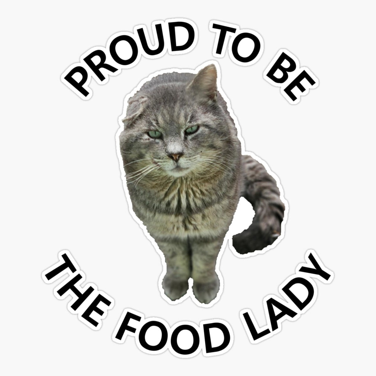 Maneki Proud To Be A Ood Lady Sticker, Phone Decal Water Bottle ...