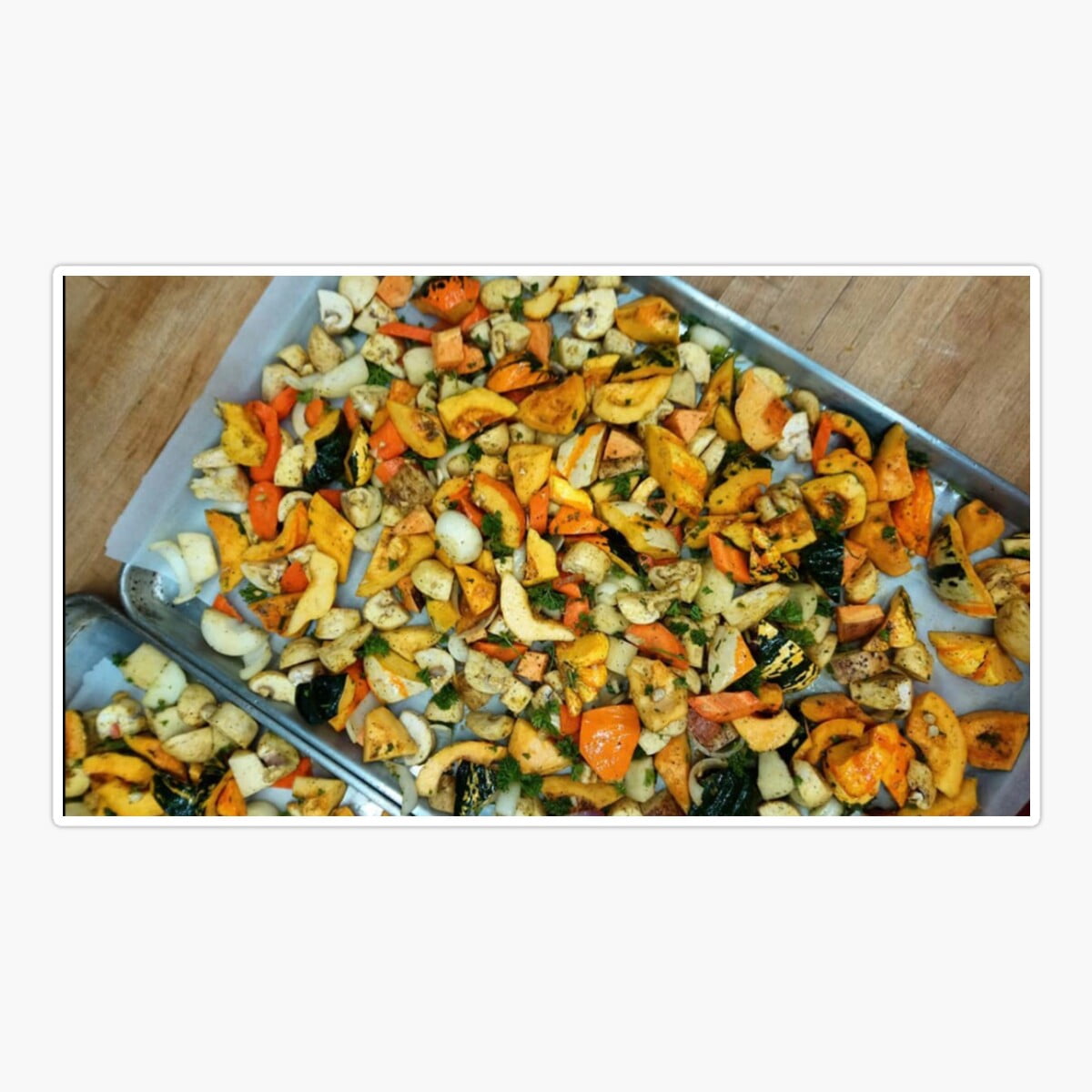 Maneki Pumpkin & Squash Sticker, Phone Decal Water Bottle Stickers Car ...