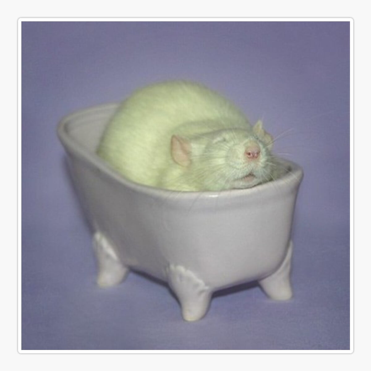 Maneki Rat In A Tub Sticker, Phone Decal Water Bottle Stickers Car ...