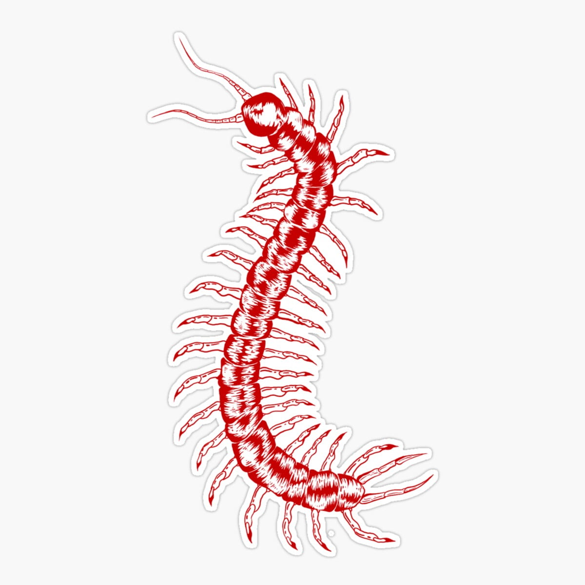 Maneki Red Centipede Sketch Sticker, Phone Decal Water Bottle Stickers ...