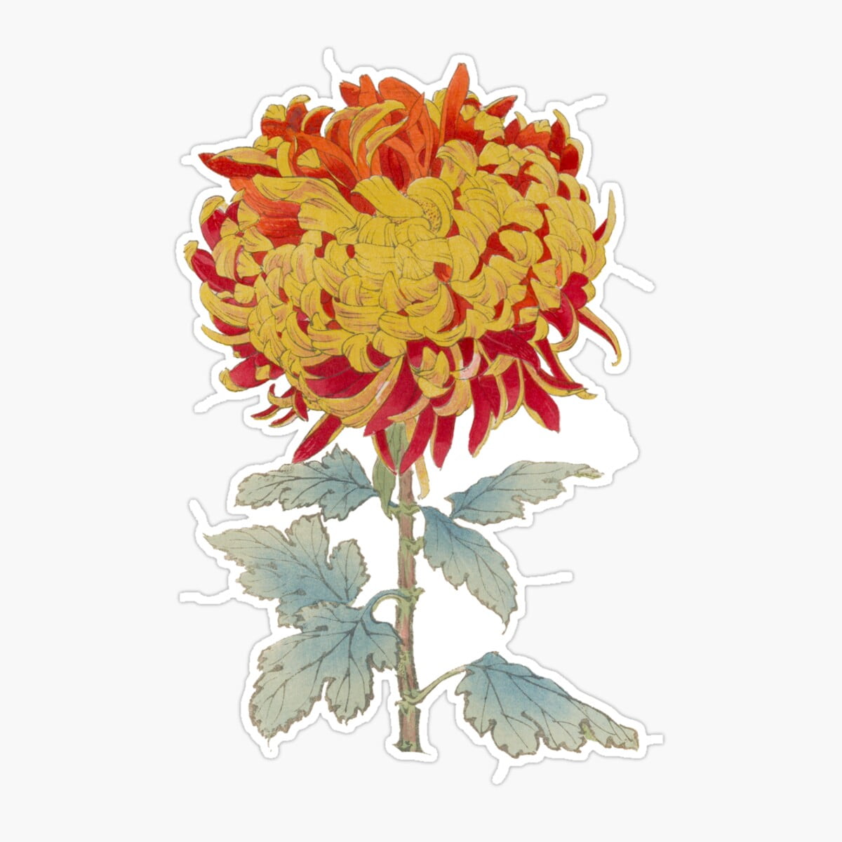 Maneki Red And Gold Chrysanthemum - Hasegawa - Traditional Japanese ...