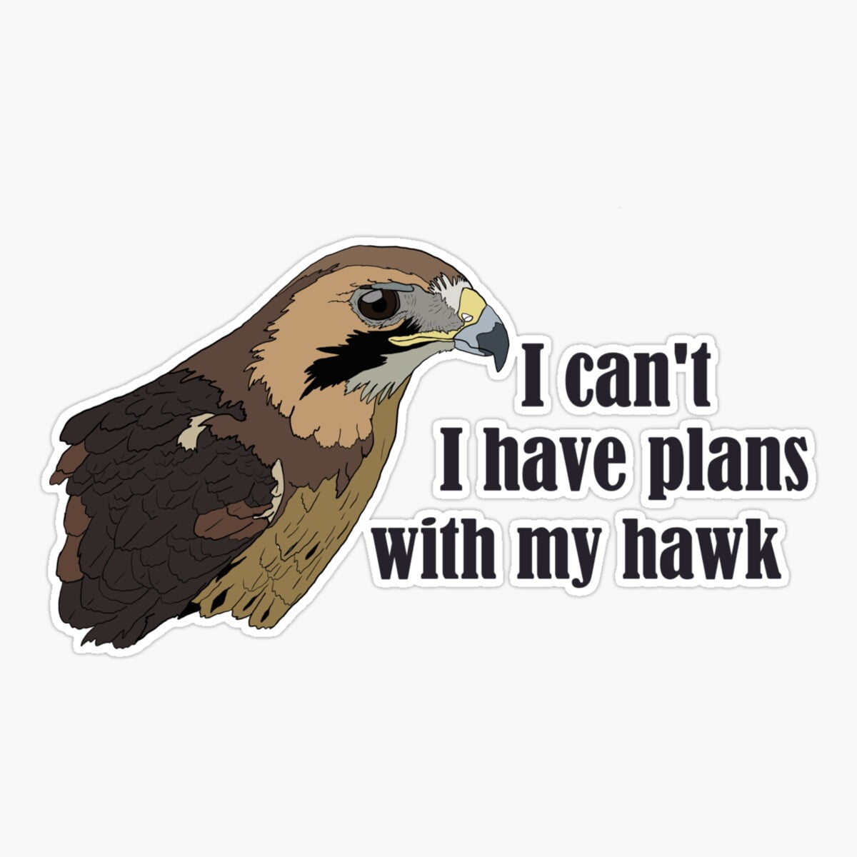 Maneki Red-Tailed Hawk Plans Er, Phone Decal Water Bottle Stickers Car ...