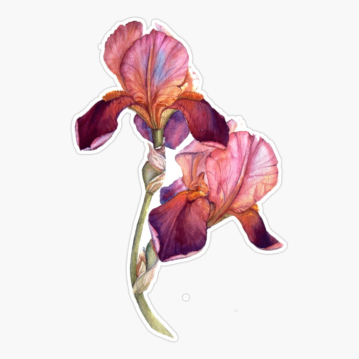 Maneki Red Watercolor Iris Sticker, Phone Decal Water Bottle Stickers ...