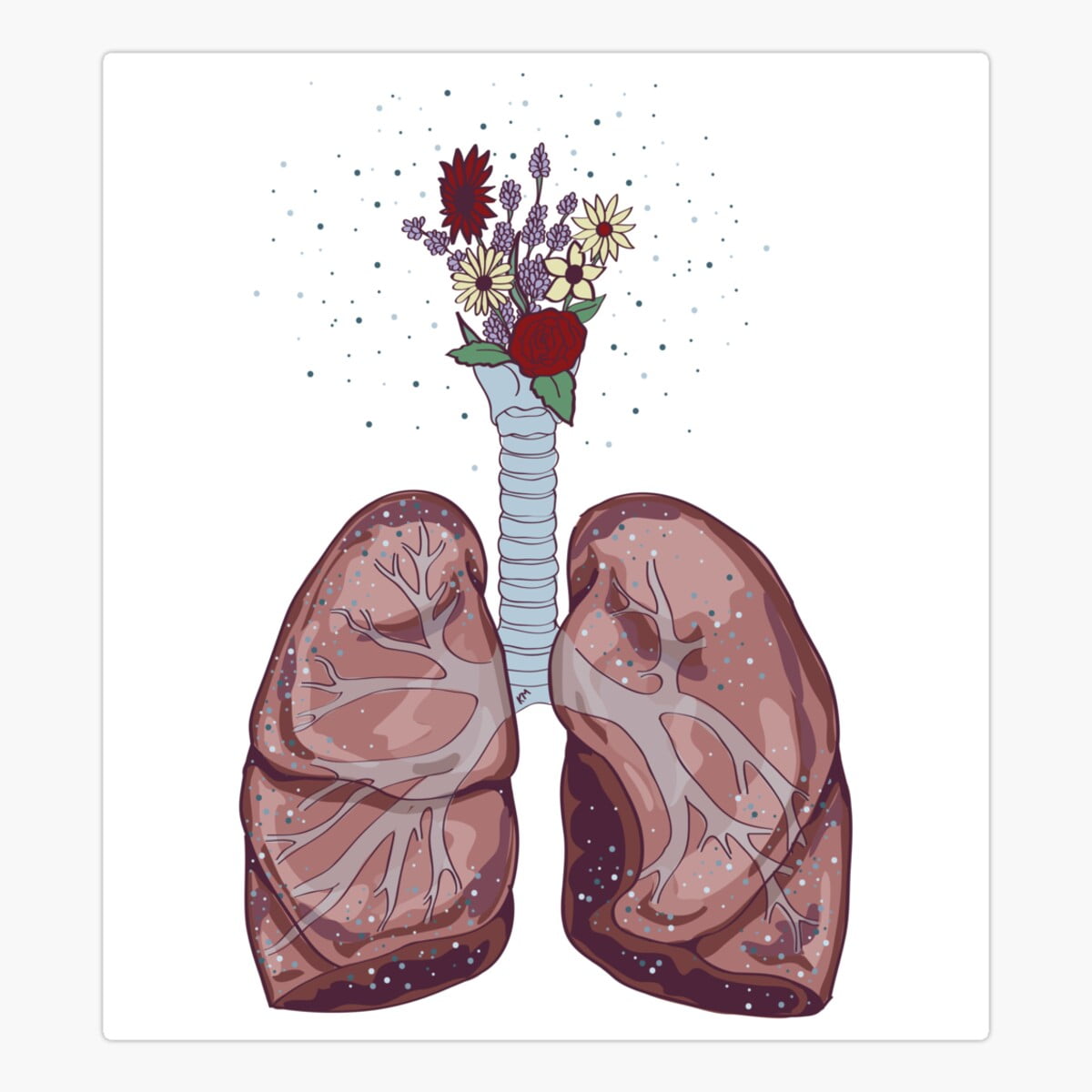 Maneki Respiration | Lungs Anatomy Sticker, Phone Decal Water Bottle ...