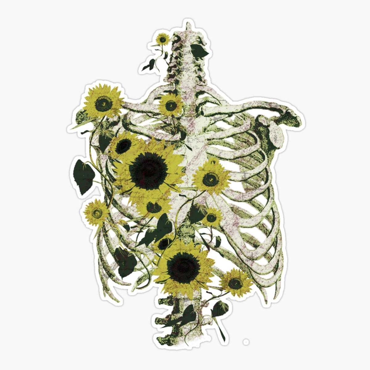 Maneki Rib Cage And Flowers, Ribcage, Human Skeleton Art, Vintage Style ...