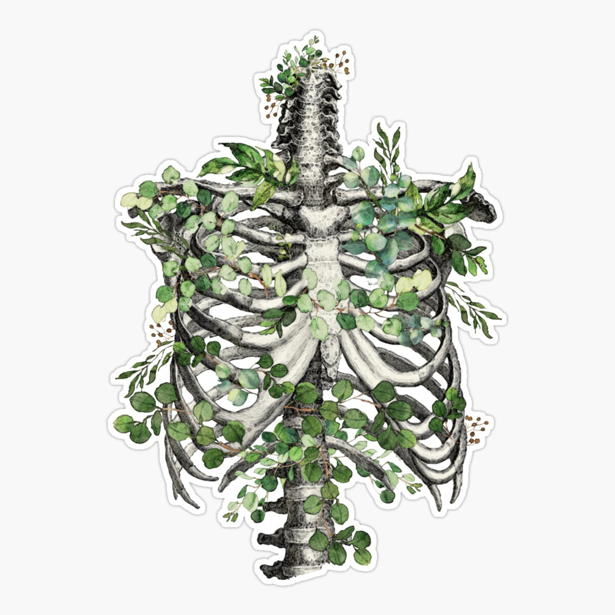 Maneki Ribcage Botanical, Rib Cage, Floral Anatomy Skeleton With ...
