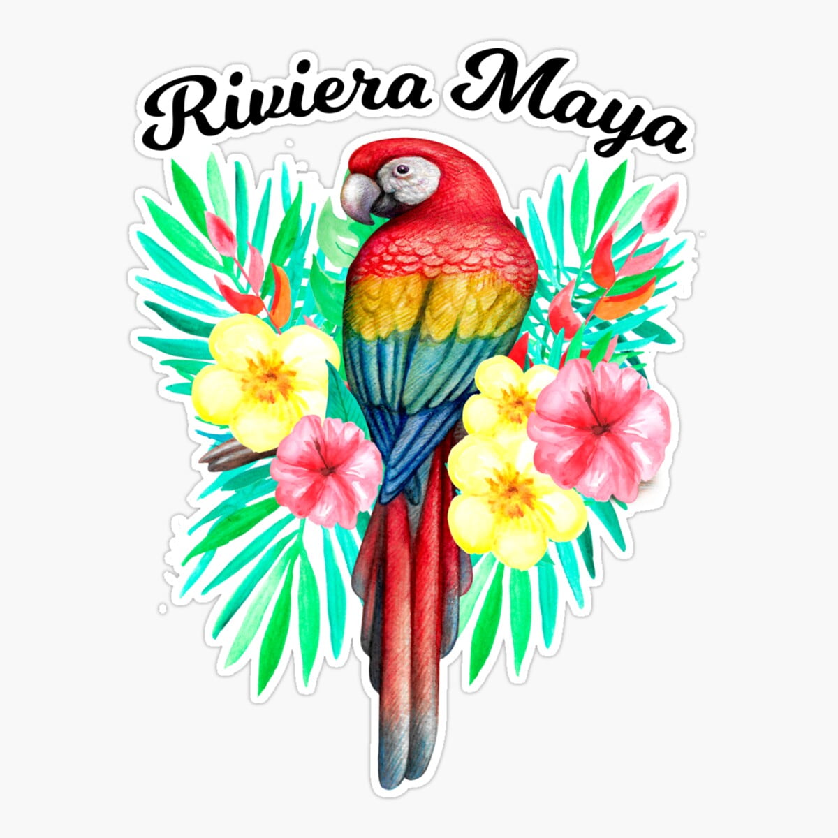 Maneki Riviera Maya Mexico Beautiul Hand Drawn Tropical Parrot In ...