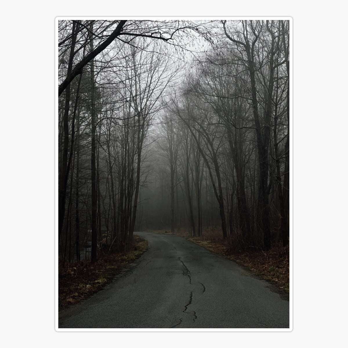 Maneki Road To The Mist Sticker, Phone Decal Water Bottle Stickers Car ...