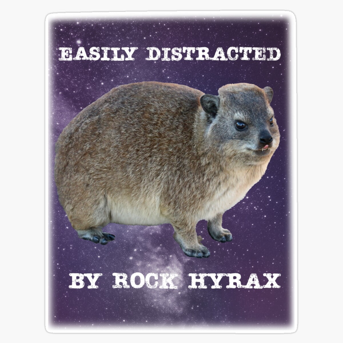 Maneki Rock Hyrax Er, Phone Decal Water Bottle Stickers Car Decals ...