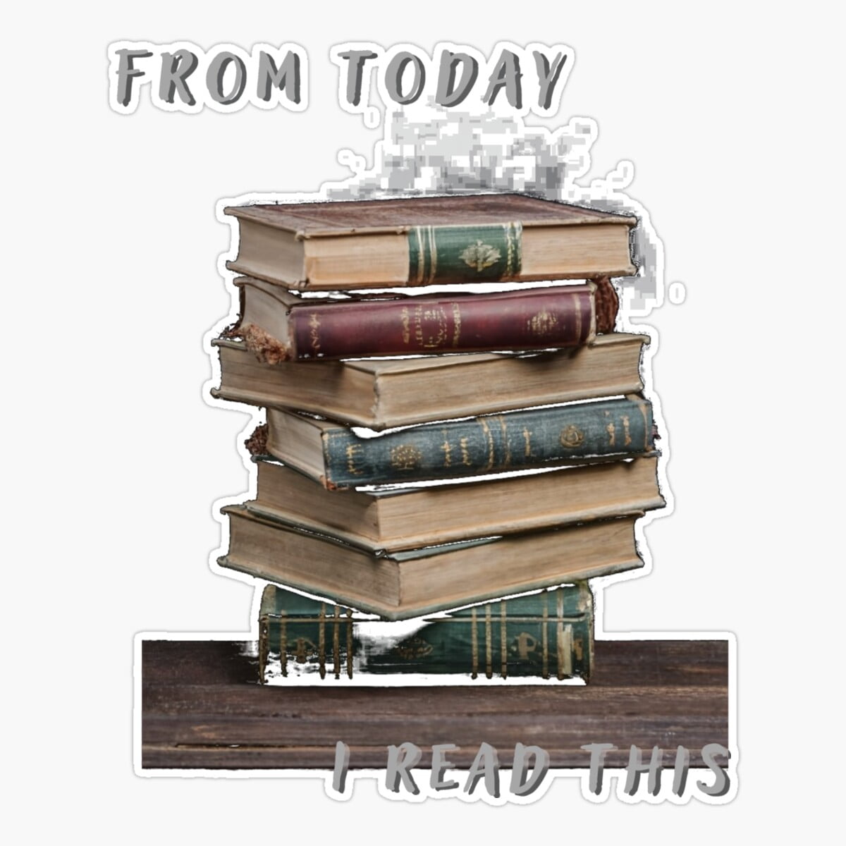 Maneki Rom Today, I Read This Sticker, Phone Decal Water Bottle ...