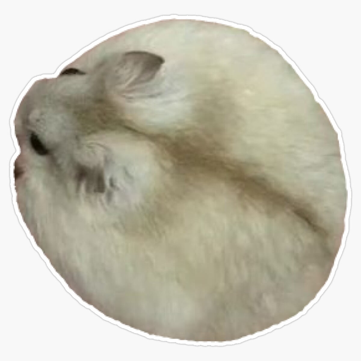 Maneki Round Ham Er, Phone Decal Water Bottle Stickers Car Decals ...