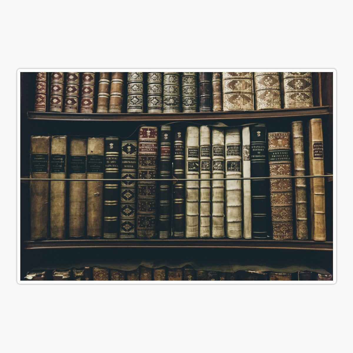 Maneki Row Of Books Sticker, Phone Decal Water Bottle Stickers Car ...