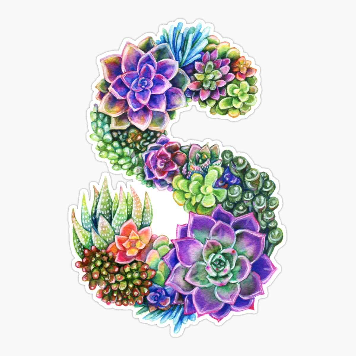 Maneki S-Succulents Sticker, Phone Decal Water Bottle Stickers Car ...