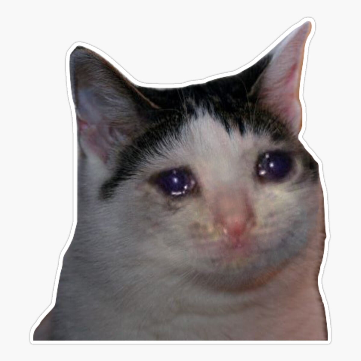 Maneki Sad Boy Sticker, Phone Decal Water Bottle Stickers Car Decals ...