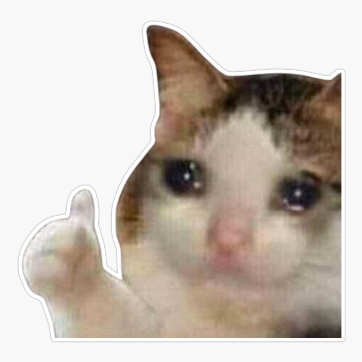 Maneki Sad Cat Sticker Sticker, Phone Decal Water Bottle Stickers Car ...