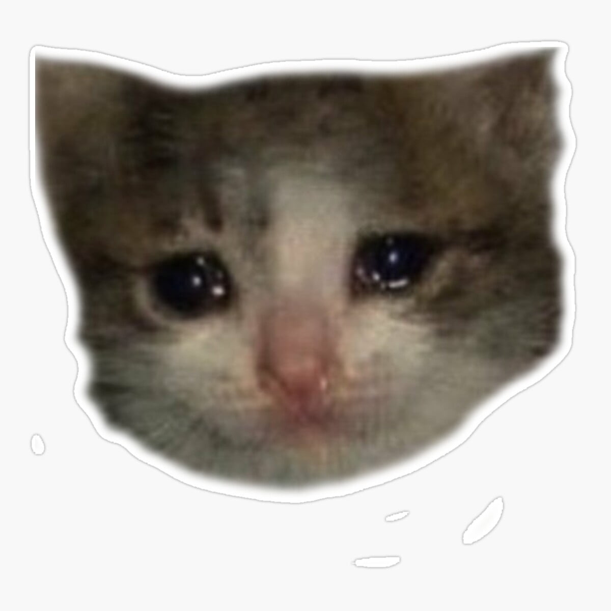 Maneki Sad Cat Sticker Sticker, Phone Decal Water Bottle Stickers Car ...