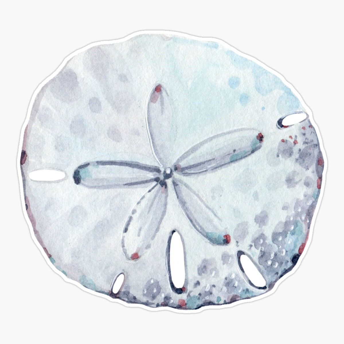 Maneki Sand Dollar Sticker Sticker, Phone Decal Water Bottle Stickers ...