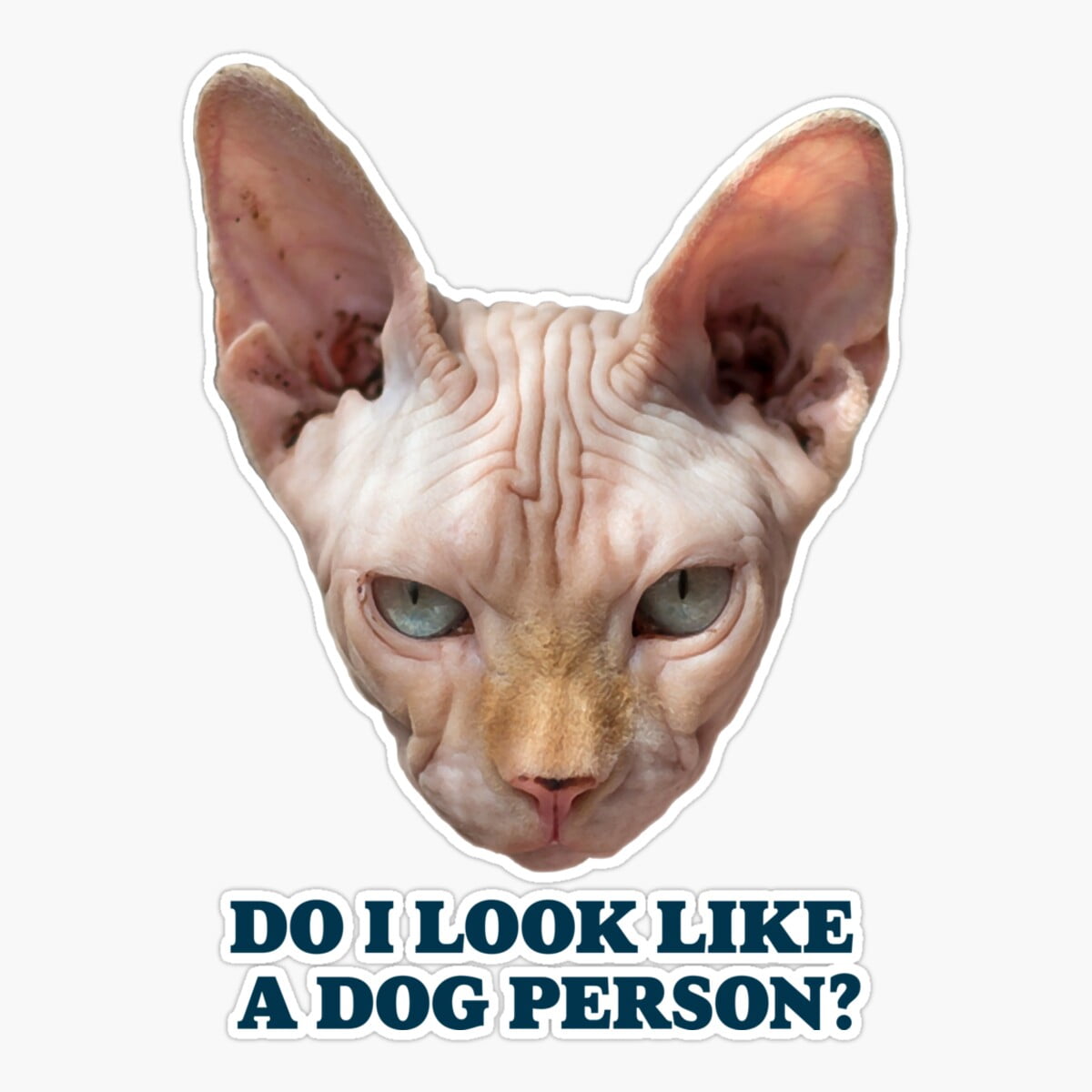 Maneki Sarcastic Kitty Saying - Do I Look Like A Dog Person? Sticker ...