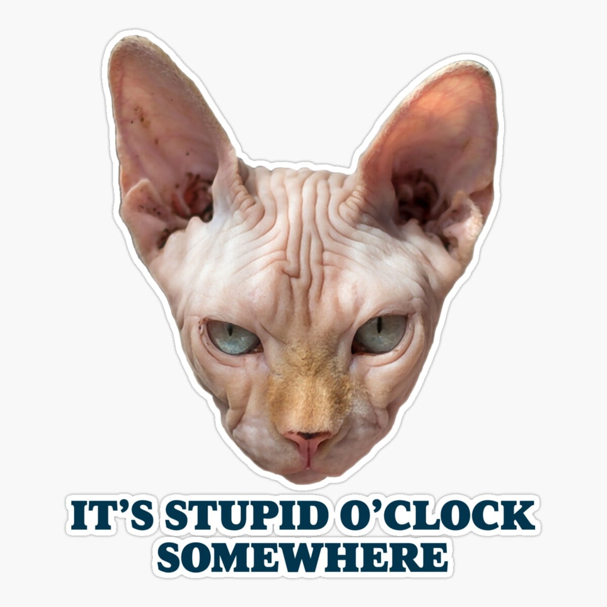 Maneki Sarcastic Kitty Saying - It'S Stupid O'Clock Somewhere Sticker ...
