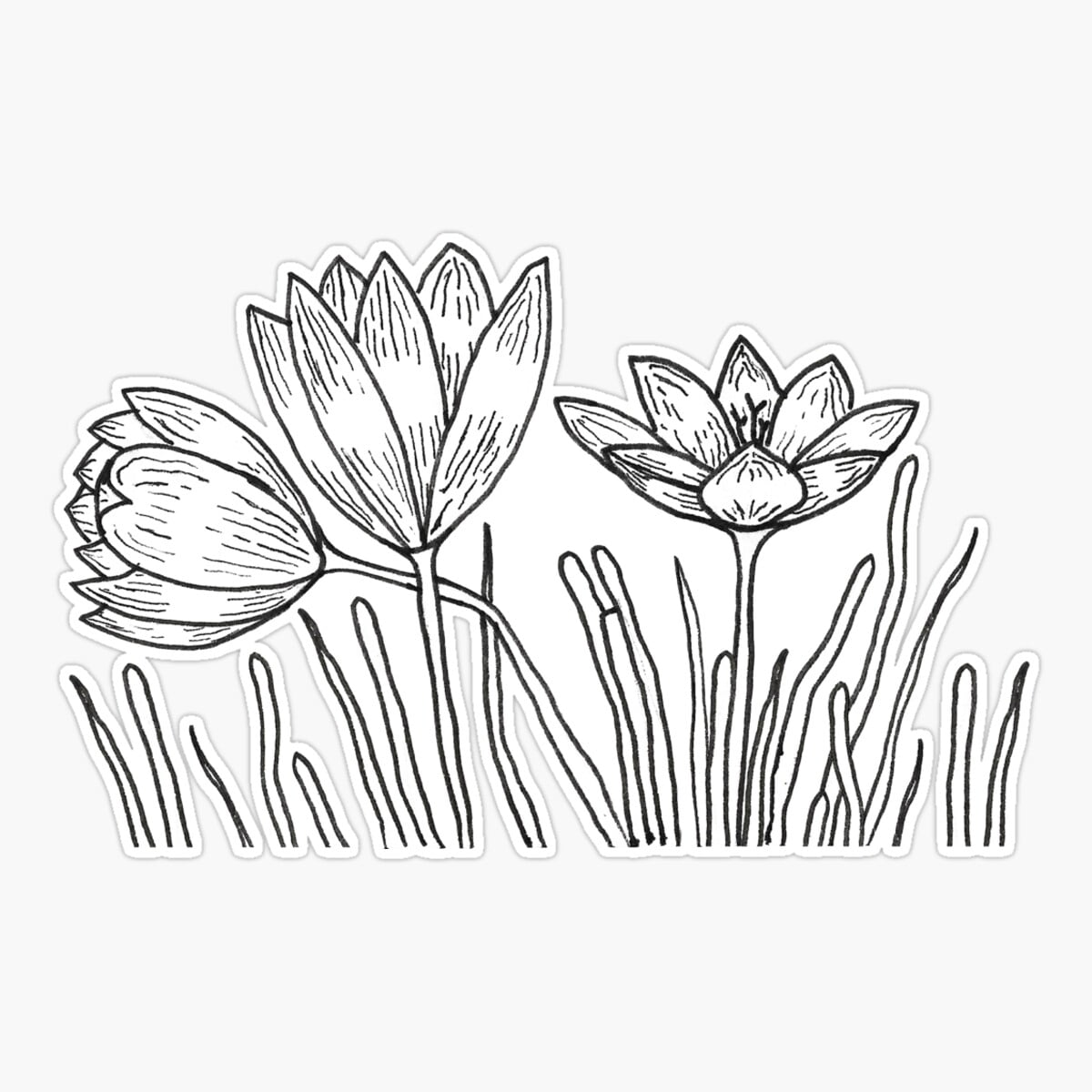 Maneki Saron Crocus - Will Sturzenegger Sticker, Phone Decal Water ...