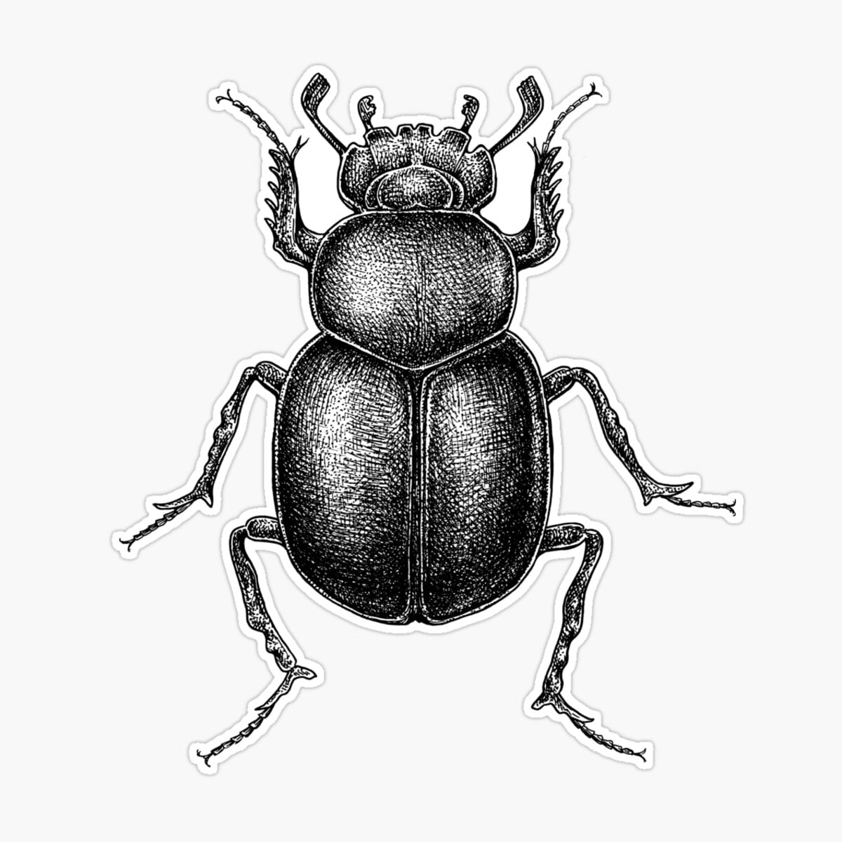 Maneki Scarab Beetle Sticker, Phone Decal Water Bottle Stickers Car ...