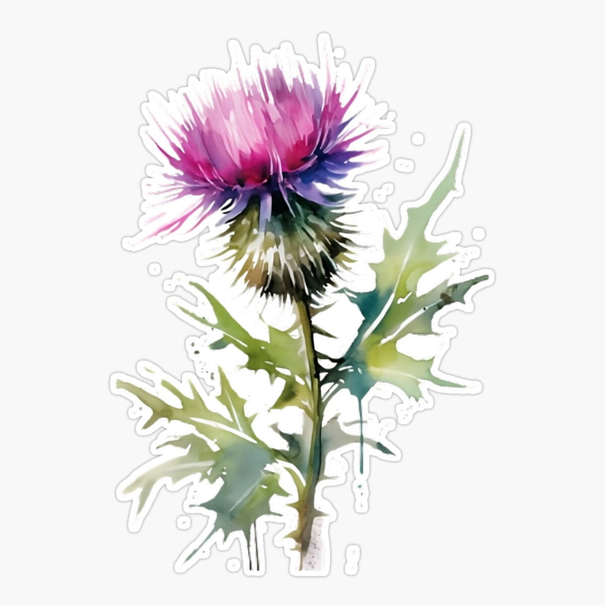 Maneki Scottish Thistle Minimalist Style Sticker, Phone Decal Water ...