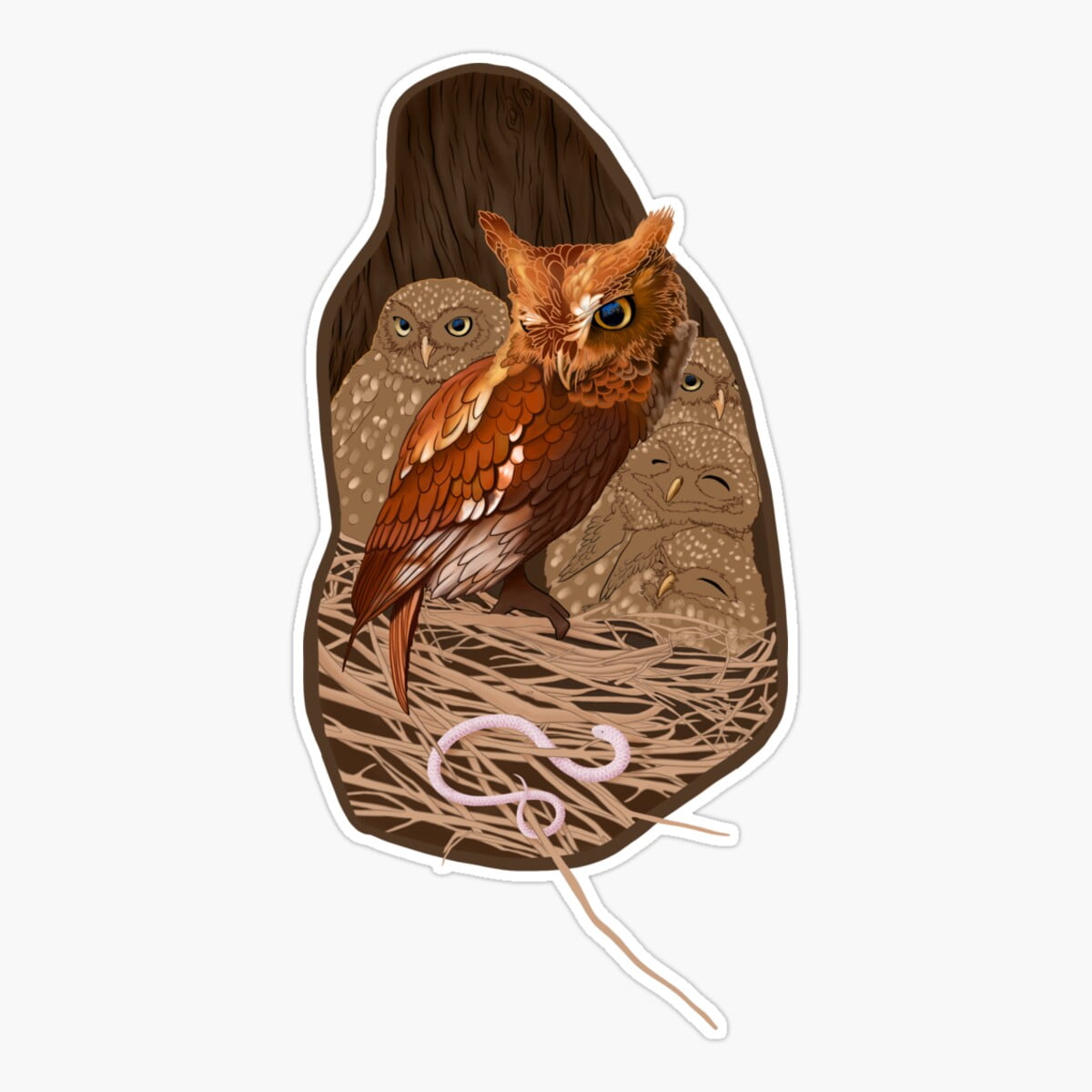 Maneki Screech Owl Babies Sticker, Phone Decal Water Bottle Stickers Car Decals, Funny Birthday ...