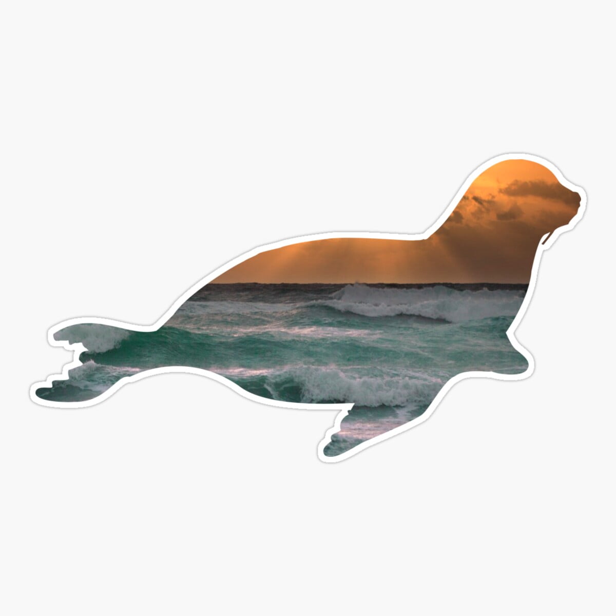 Maneki .Seal Sea Lion & Sunset Ocean Waves Silhouette Sticker, Phone ...