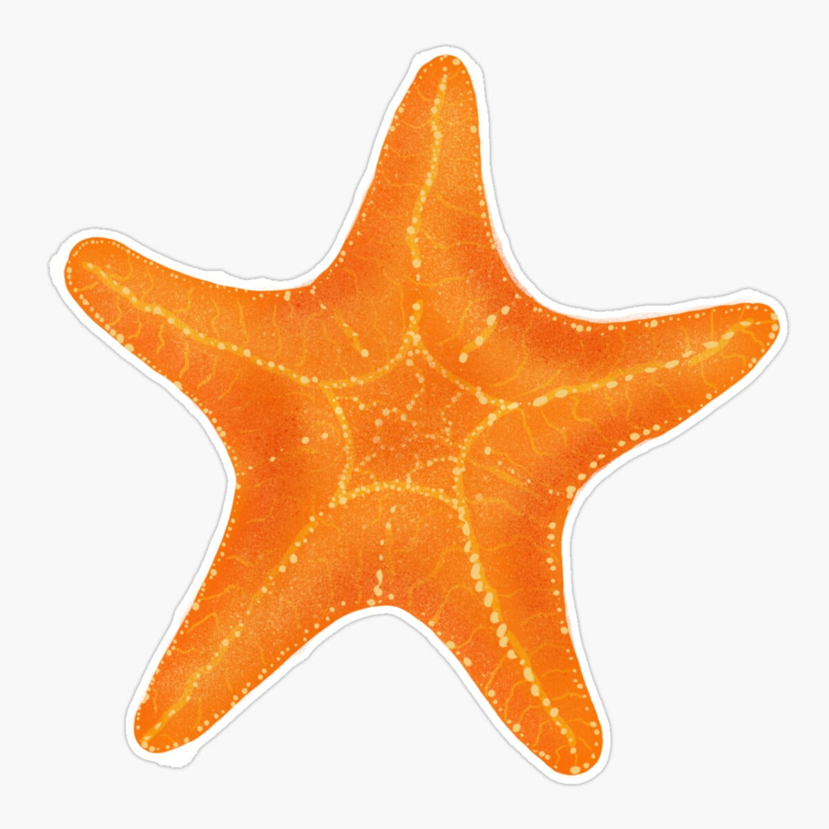 Maneki Seastar Starfish Sticker, Phone Decal Water Bottle Stickers Car ...