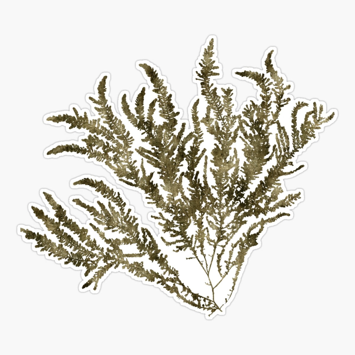 Maneki Seaweed Plant Sticker, Phone Decal Water Bottle Stickers Car ...