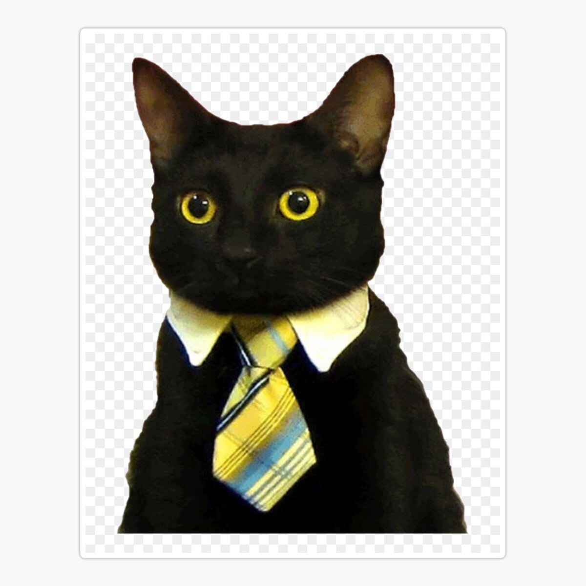 Maneki Serious Black Cat Tie Sticker, Phone Decal Water Bottle Stickers ...