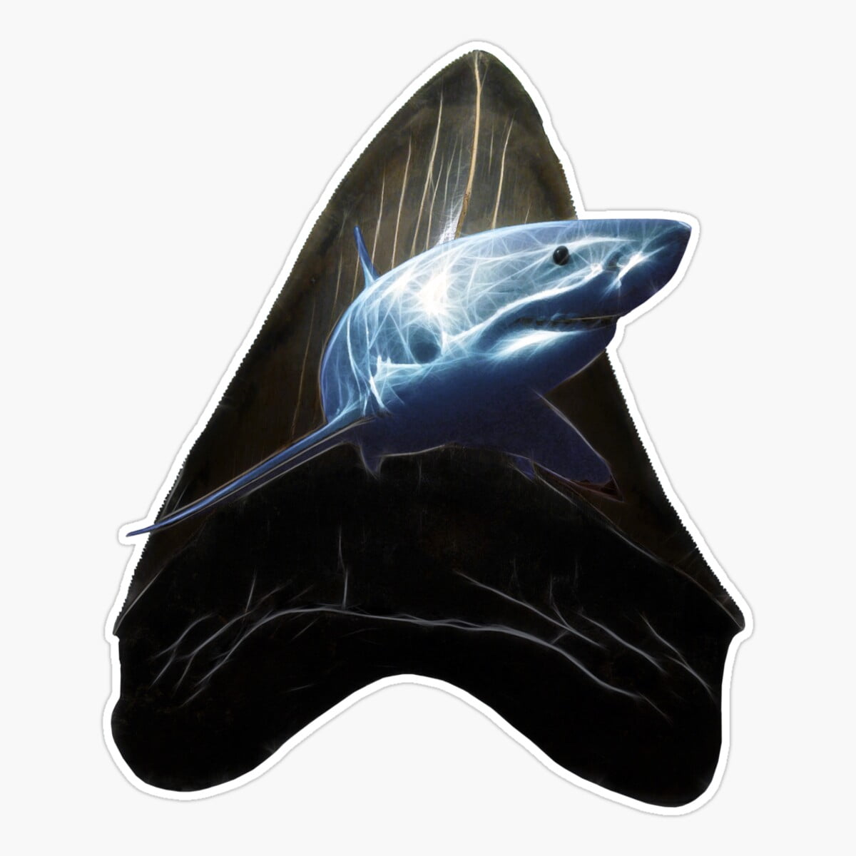 Maneki Shark Tooth And Shark Sticker, Phone Decal Water Bottle Stickers ...