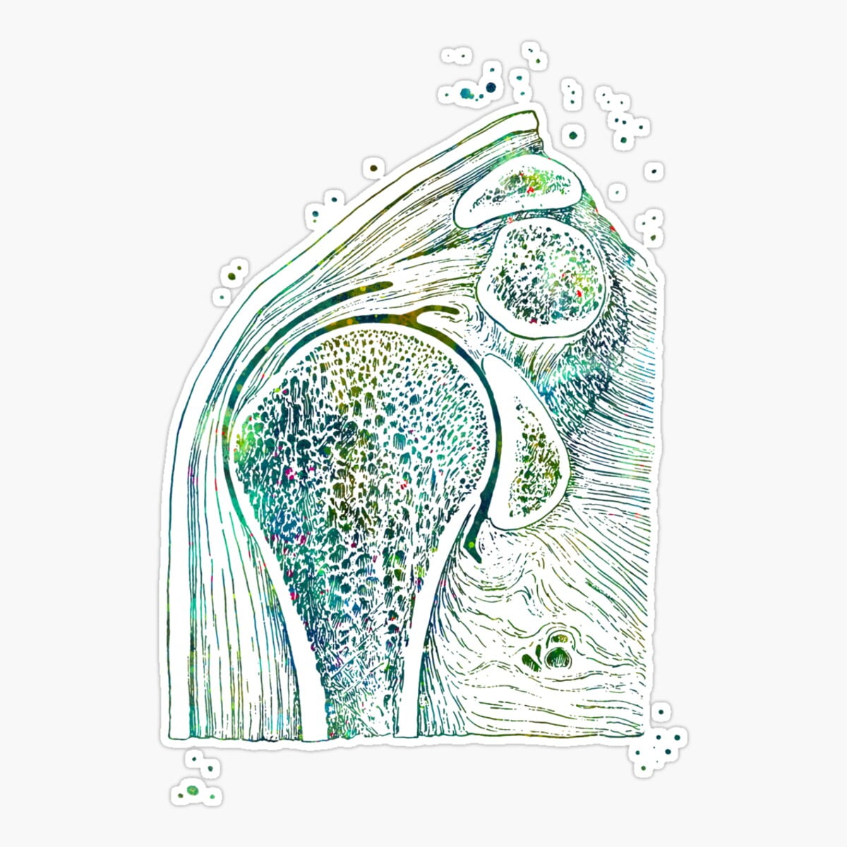 Maneki Shoulder Joint Section Er, Phone Decal Water Bottle Stickers Car ...