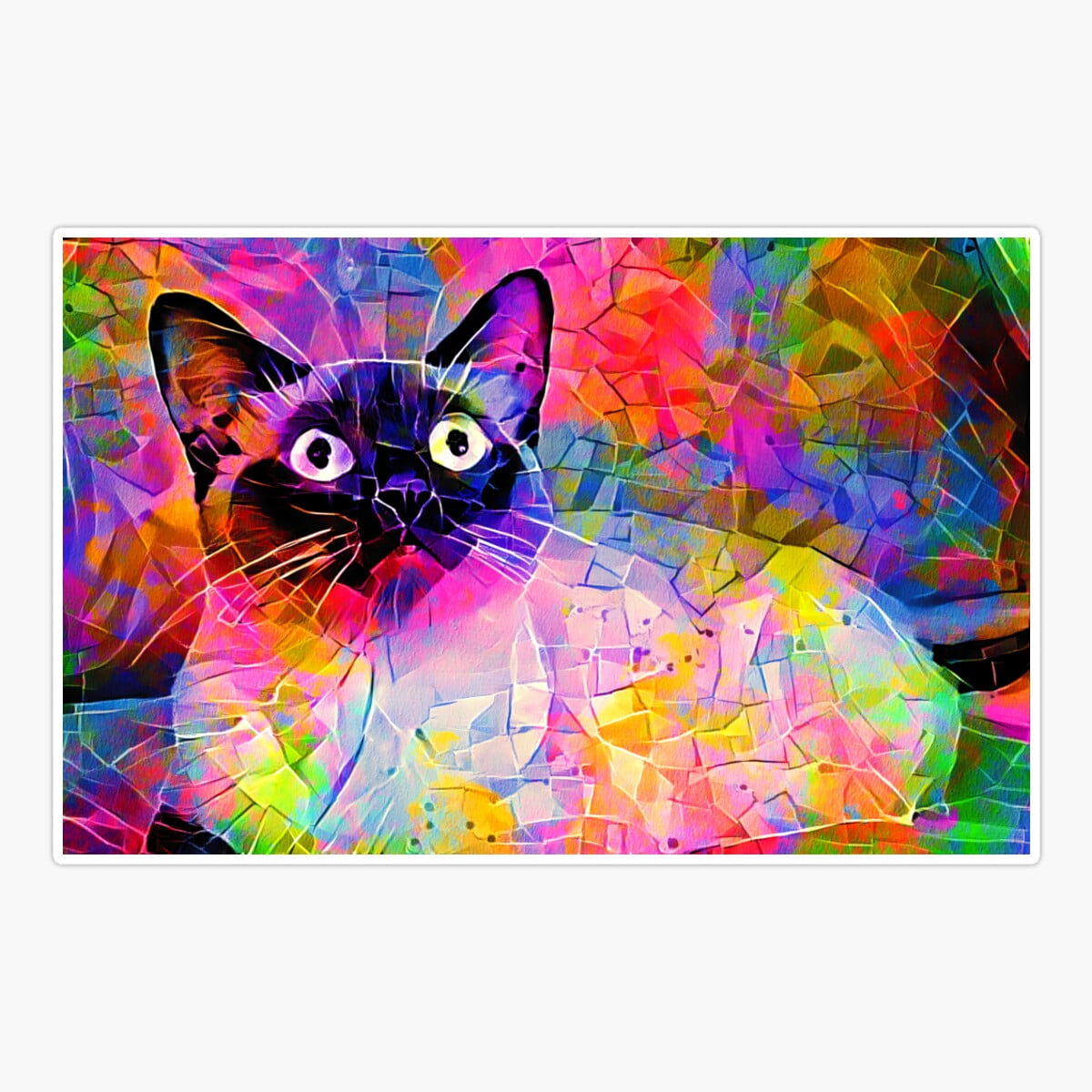 Maneki Siamese Cat With A Worried Expression - Colorul Irregular Tiles ...