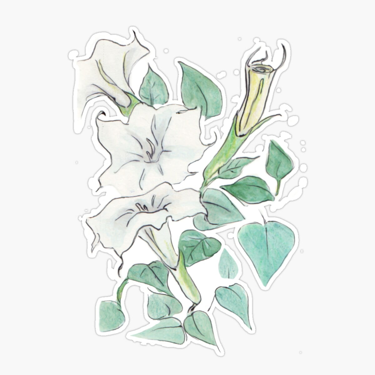 Maneki Simple Moonflowers Sticker, Phone Decal Water Bottle Stickers ...