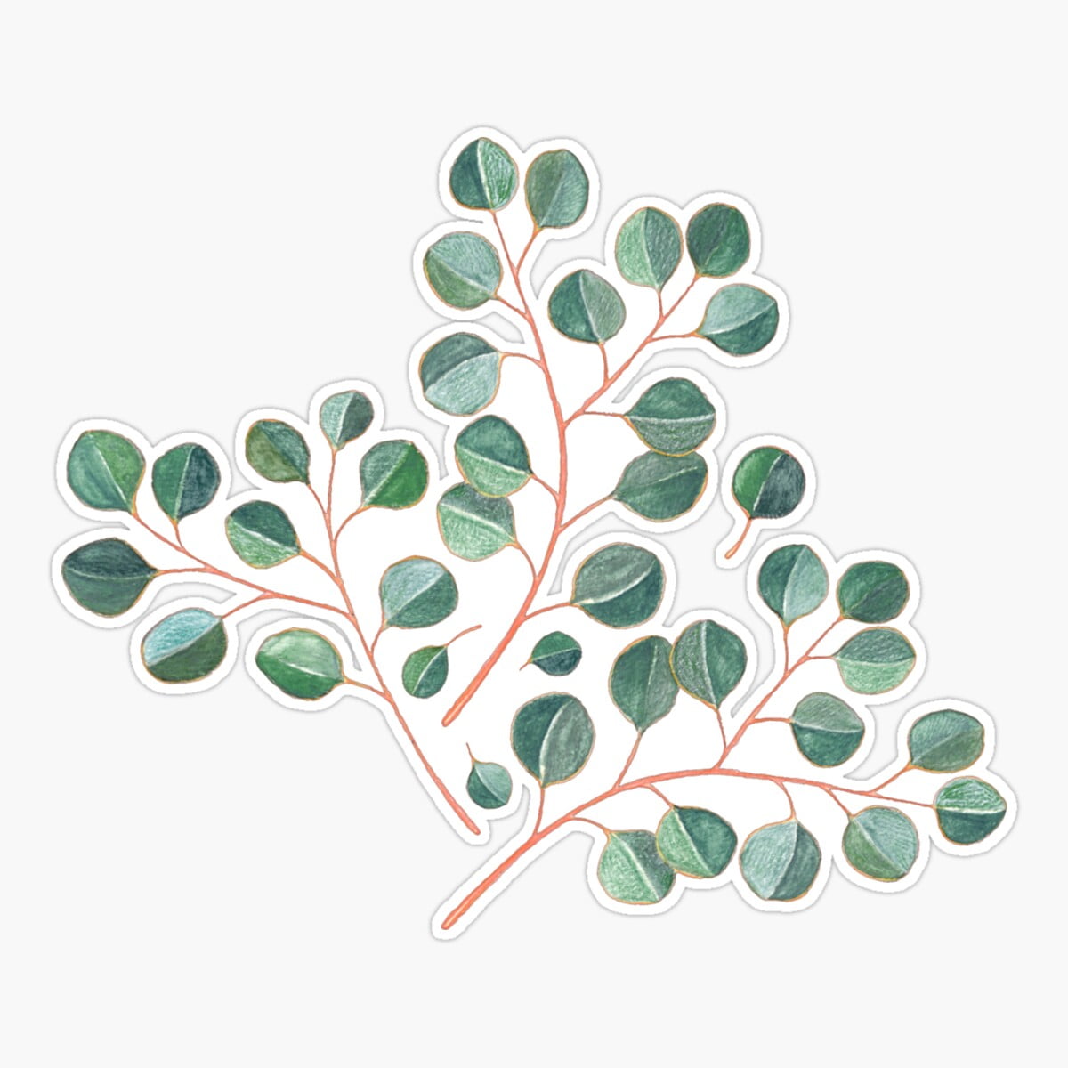 Maneki Simple Silver Dollar Eucalyptus Leaves On Navy Blue Sticker ...