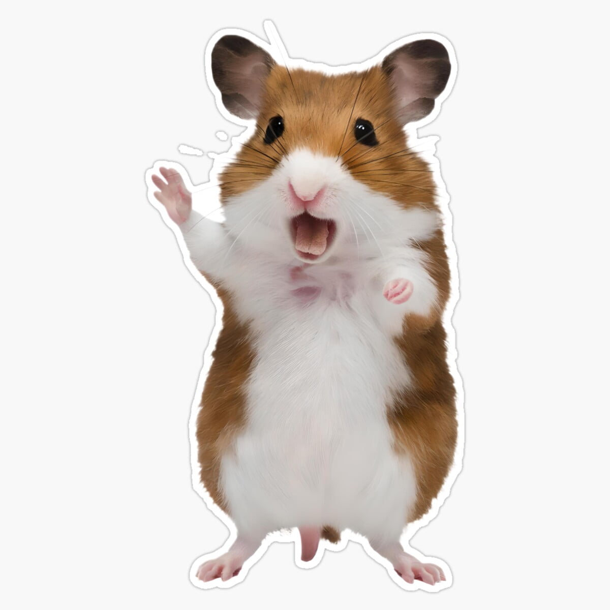 Maneki Singing Hamster Er, Phone Decal Water Bottle Stickers Car Decals ...