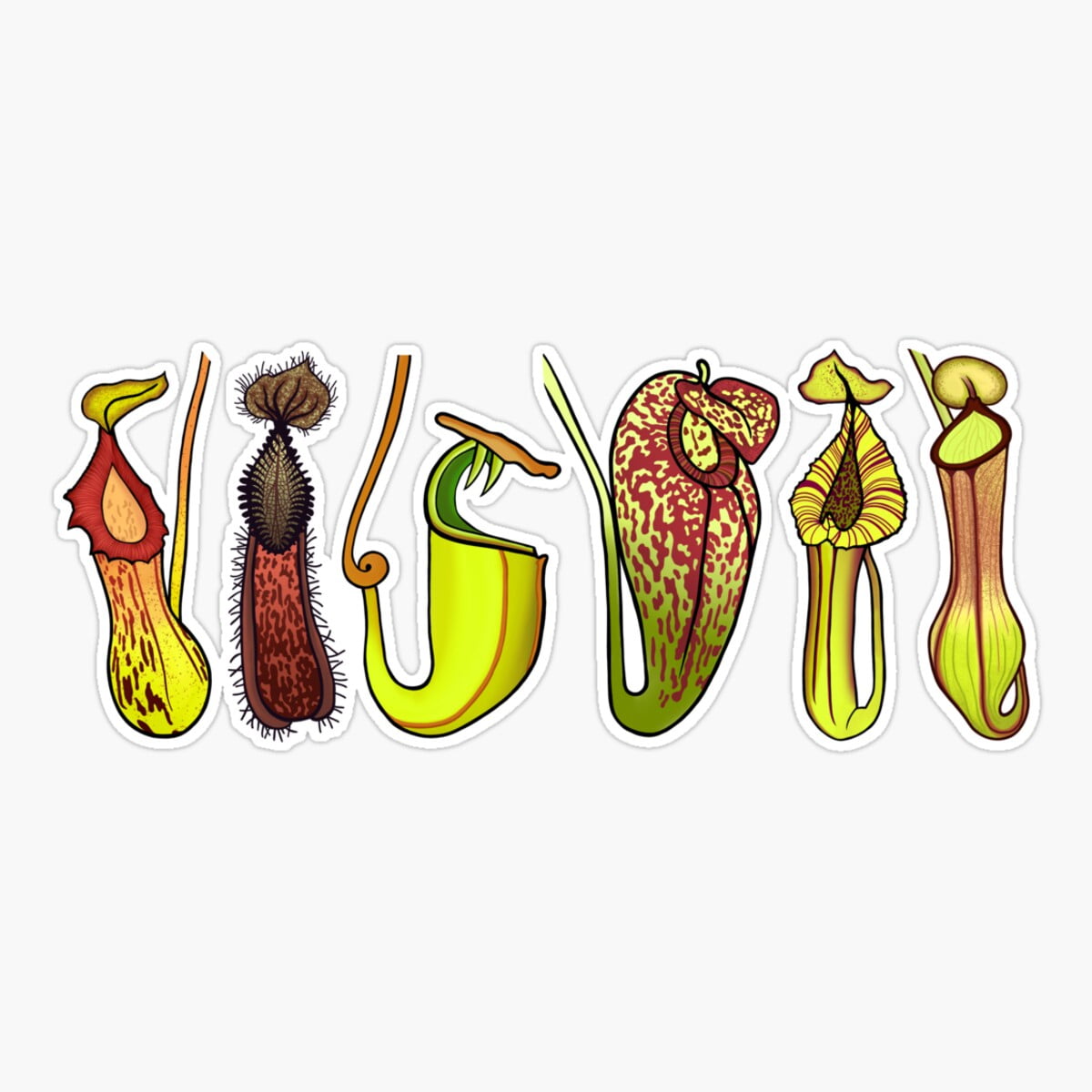 Maneki Six Nepenthes Carnivorous Pitcher Plants Er, Phone Decal Water ...