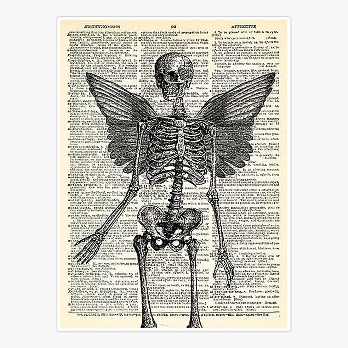 Maneki Skeleton Fairy Grunge Fairycore Aesthetic Gothic Cottagecore ...