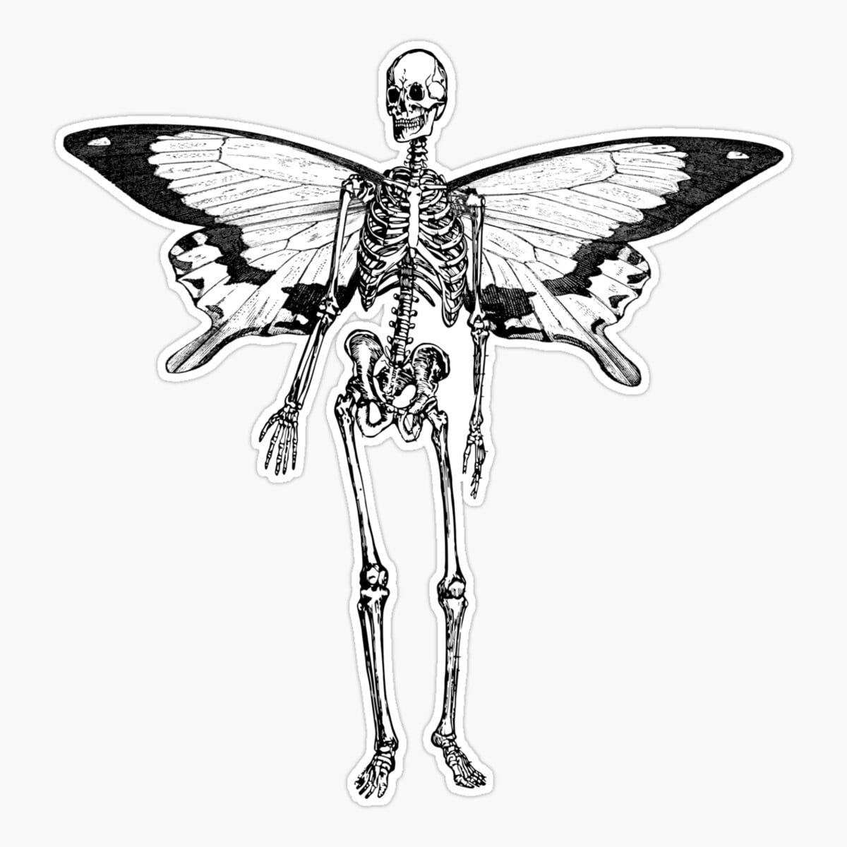 Maneki Skeleton Fairy Grunge Fairycore Aesthetic Gothic Cottagecore ...